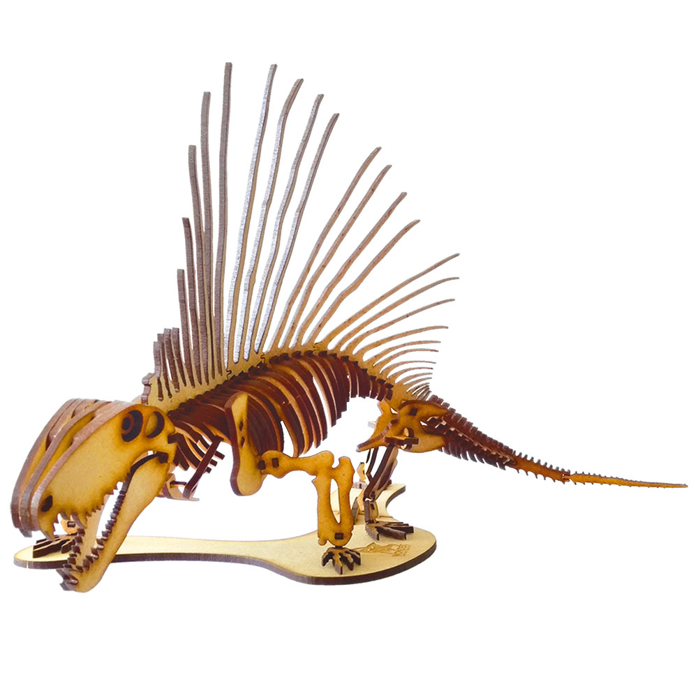 Dimetrodon Model Kit – Wonder Artistic Models