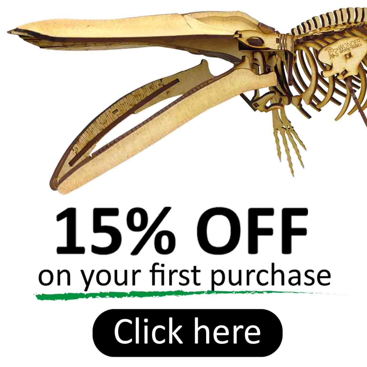 Store – Wonder Artistic Models