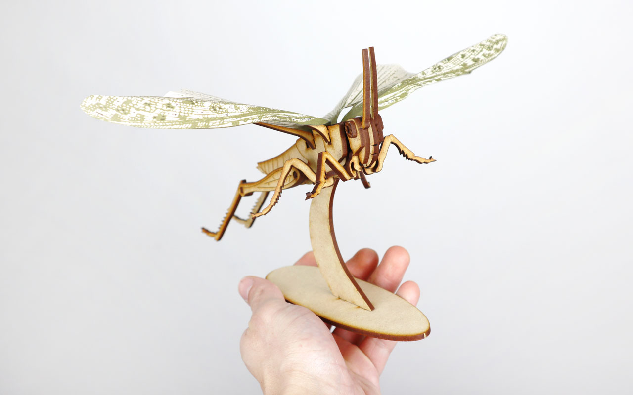 Grasshopper Assembly Tutorial – Wonder Artistic Models