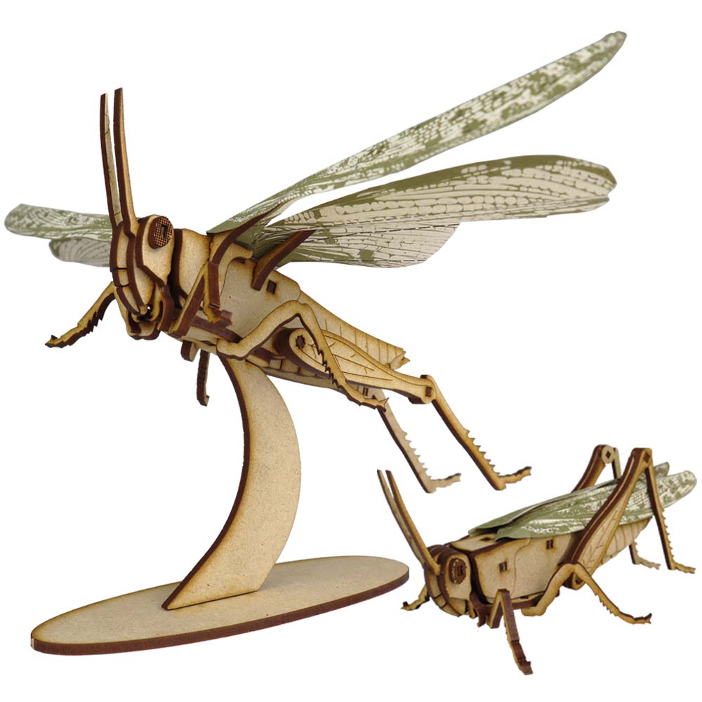 Grasshopper 3D Wooden Puzzle – Wonder Artistic Models