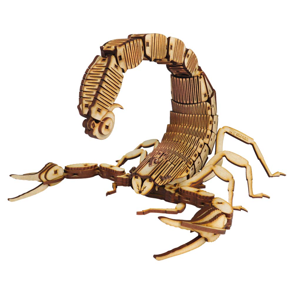 Scorpion 3D Model Kit – Wonder Artistic Models