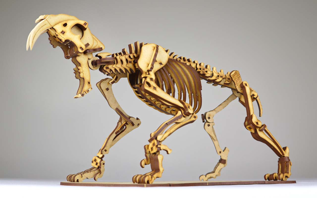 Smilodon Deluxe Version | Assembly Tutorial – Wonder Artistic Models